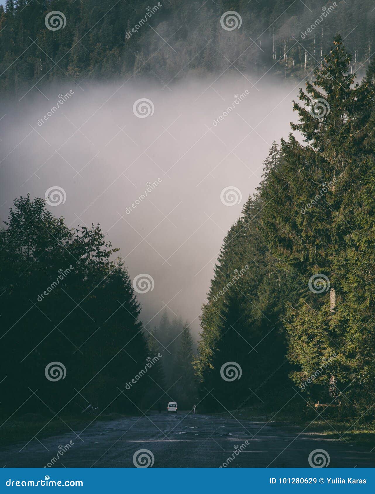 Road in Fall Covered in Thick Fog Stock Image - Image of colors, road ...
