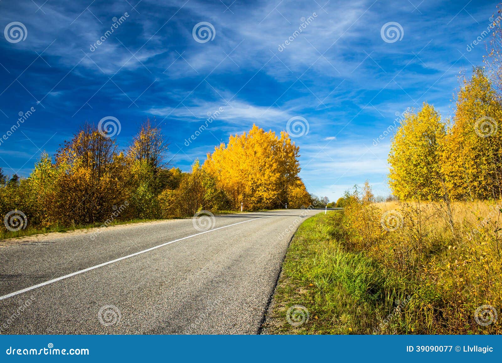 Road and Fall stock image. Image of scene, road, backgrounds - 39090077