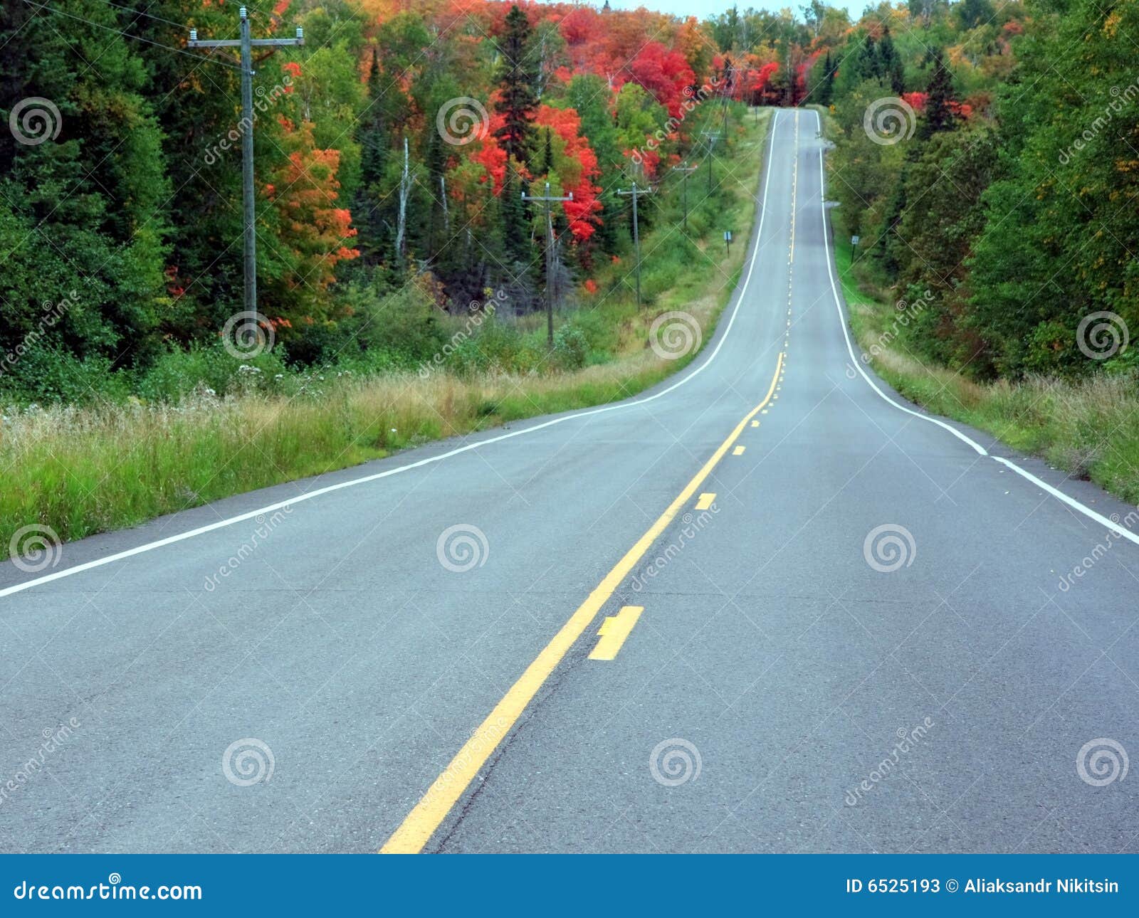 Road in fall season stock image. Image of fall, leaf, light - 6525193