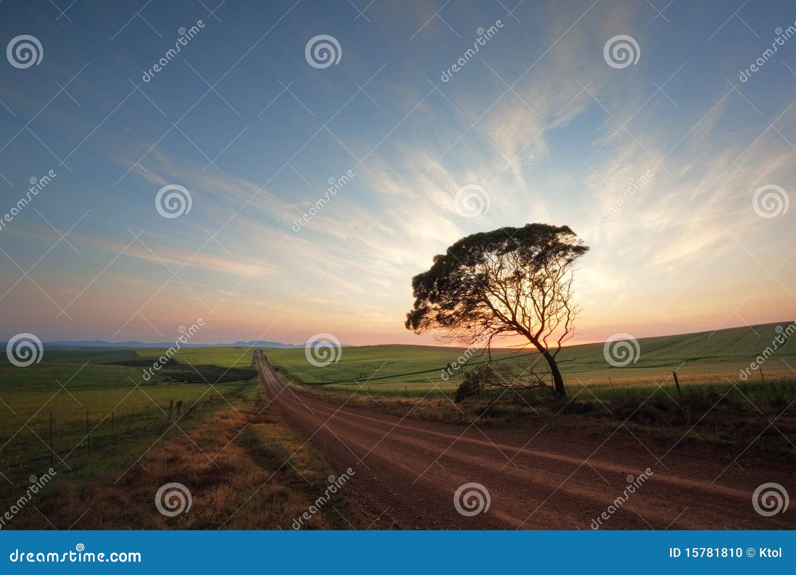 Road on a farm stock photo. Image of sunset, sunrise - 15781810