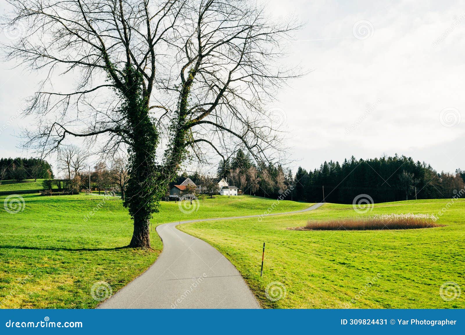 A Road through a Farm in Germany in Spring Stock Image - Image of ...