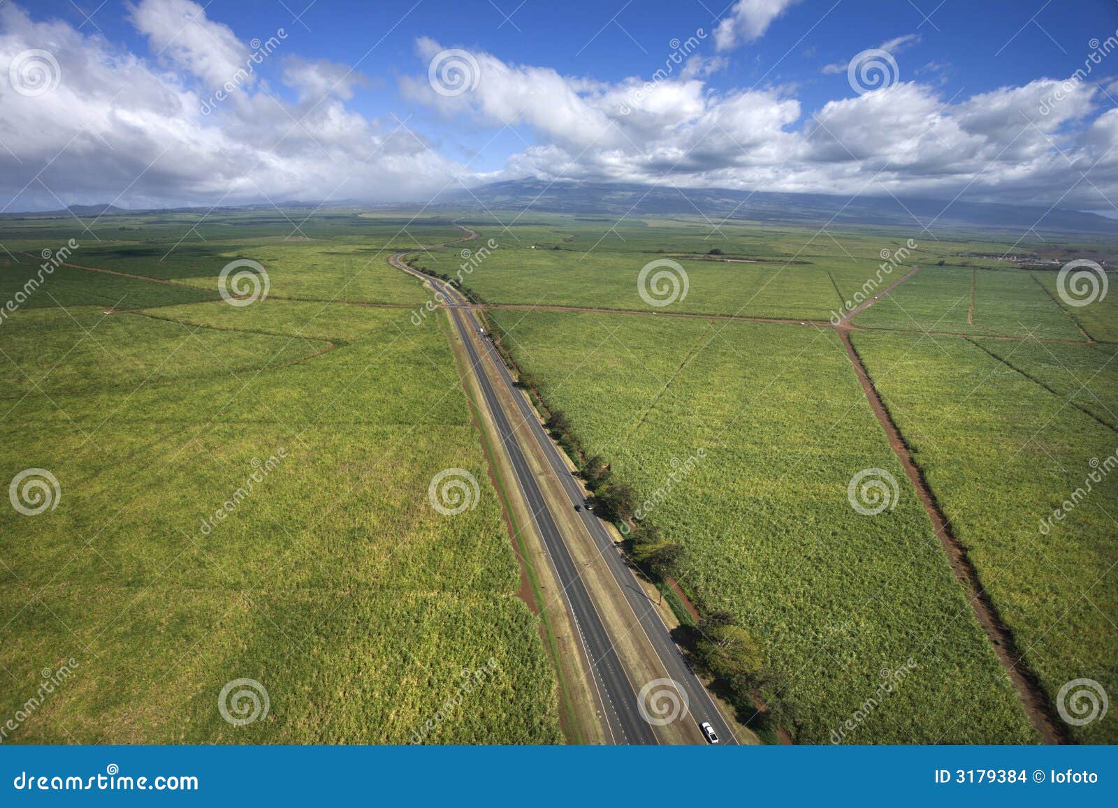 Road through farmland. stock photo. Image of highway, nature - 3179384
