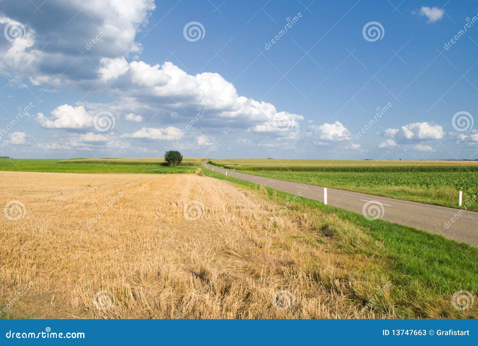 Road through Farmland Background Stock Image - Image of country, fluffy ...