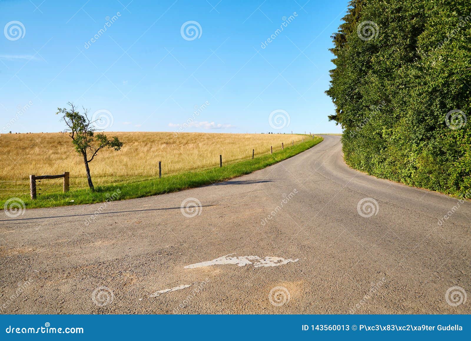 Road through farmlands stock image. Image of hill, growth - 143560013