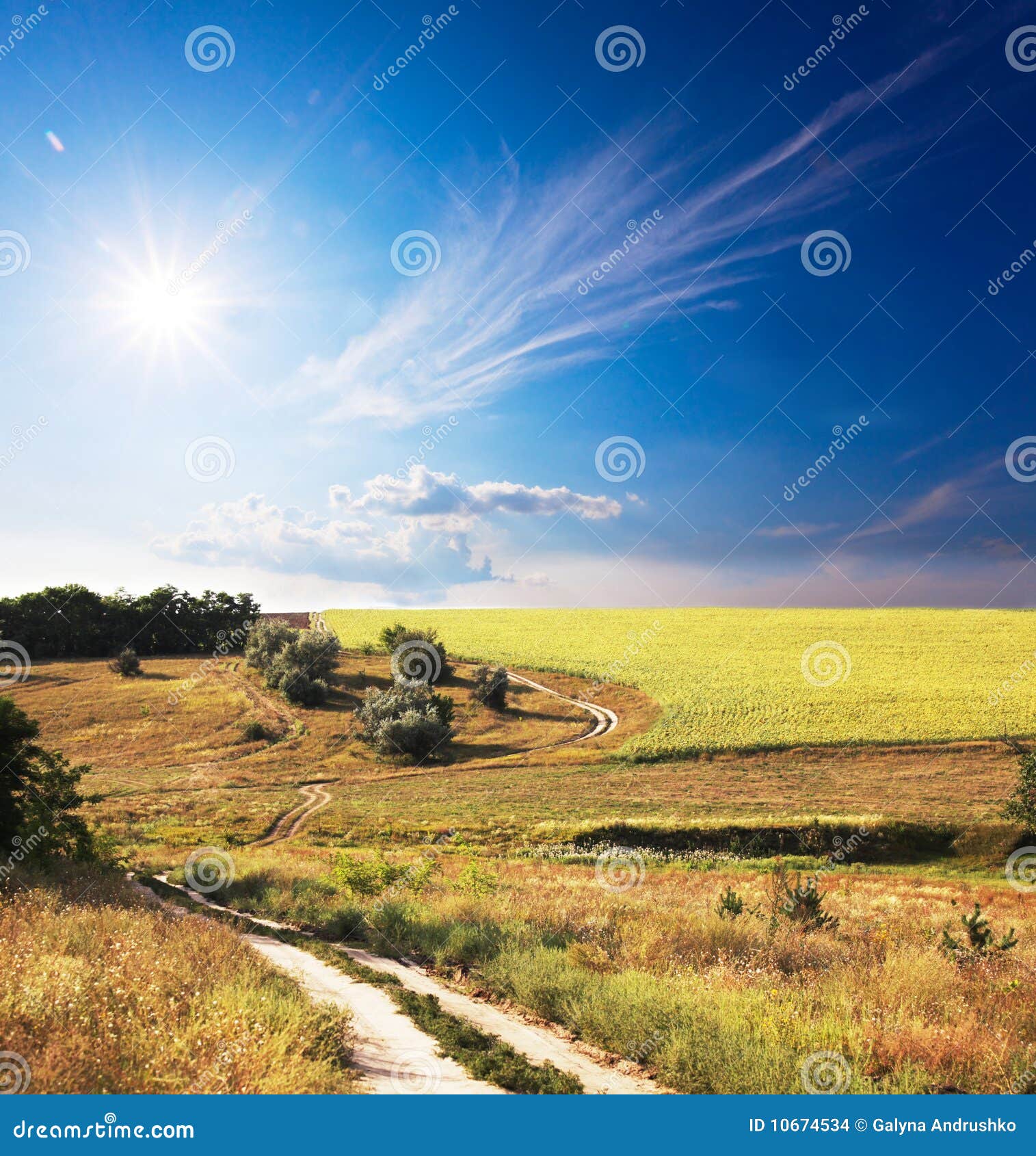Road in field stock photo. Image of country, field, farm - 10674534
