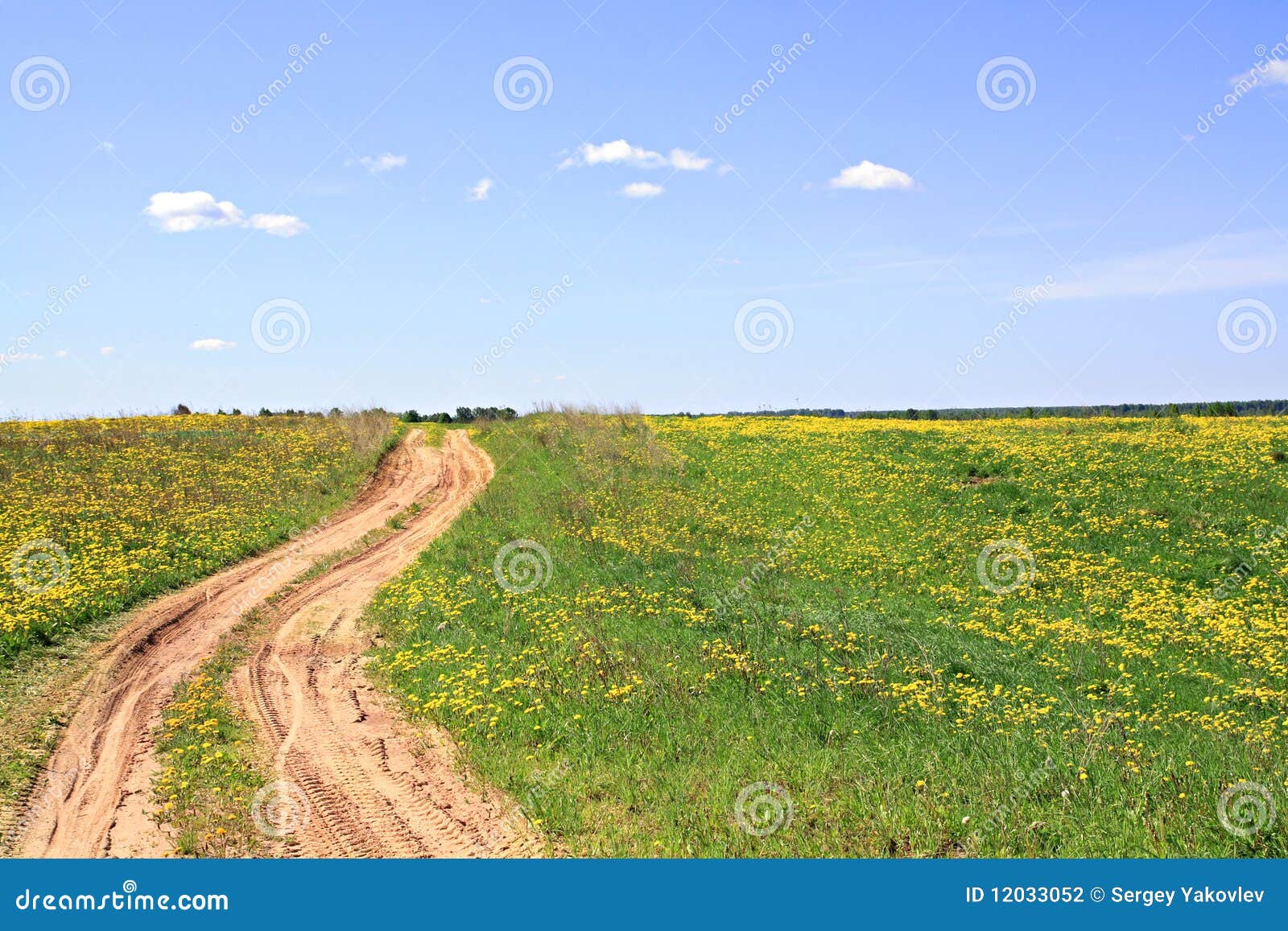 Road on field stock photo. Image of peace, countryside - 12033052