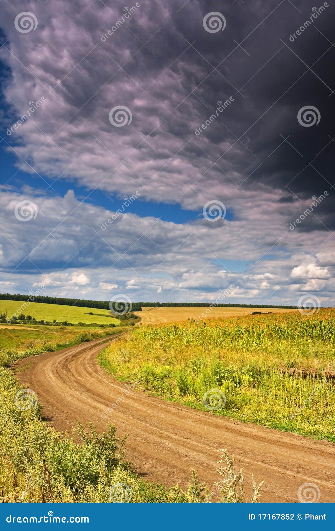 Road in the field stock photo. Image of scene, color - 17167852