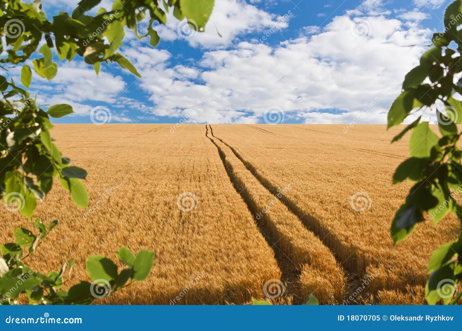 Road in field stock image. Image of dusk, agriculture - 18070705