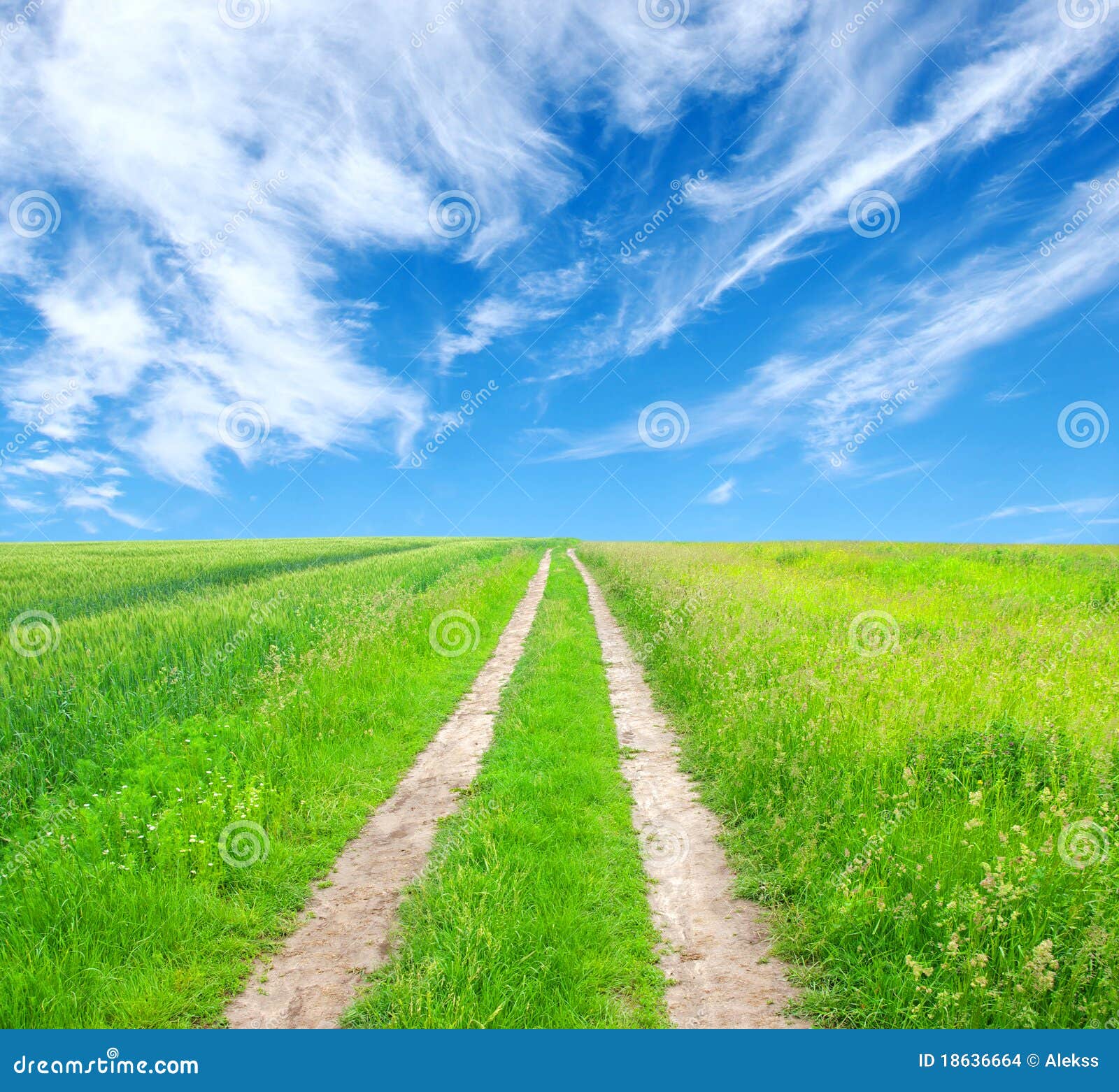 Road in field stock photo. Image of summer, cloud, landscape - 18636664