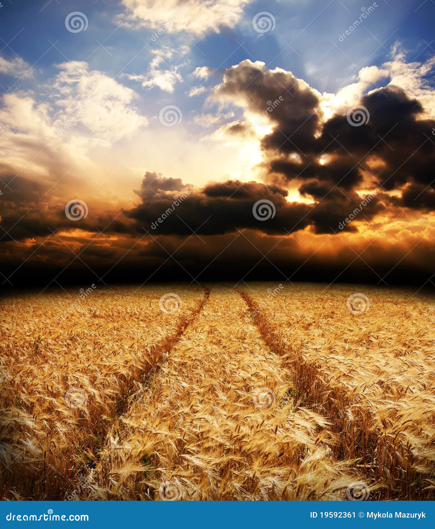 Road in field stock image. Image of dusk, illuminated - 19592361