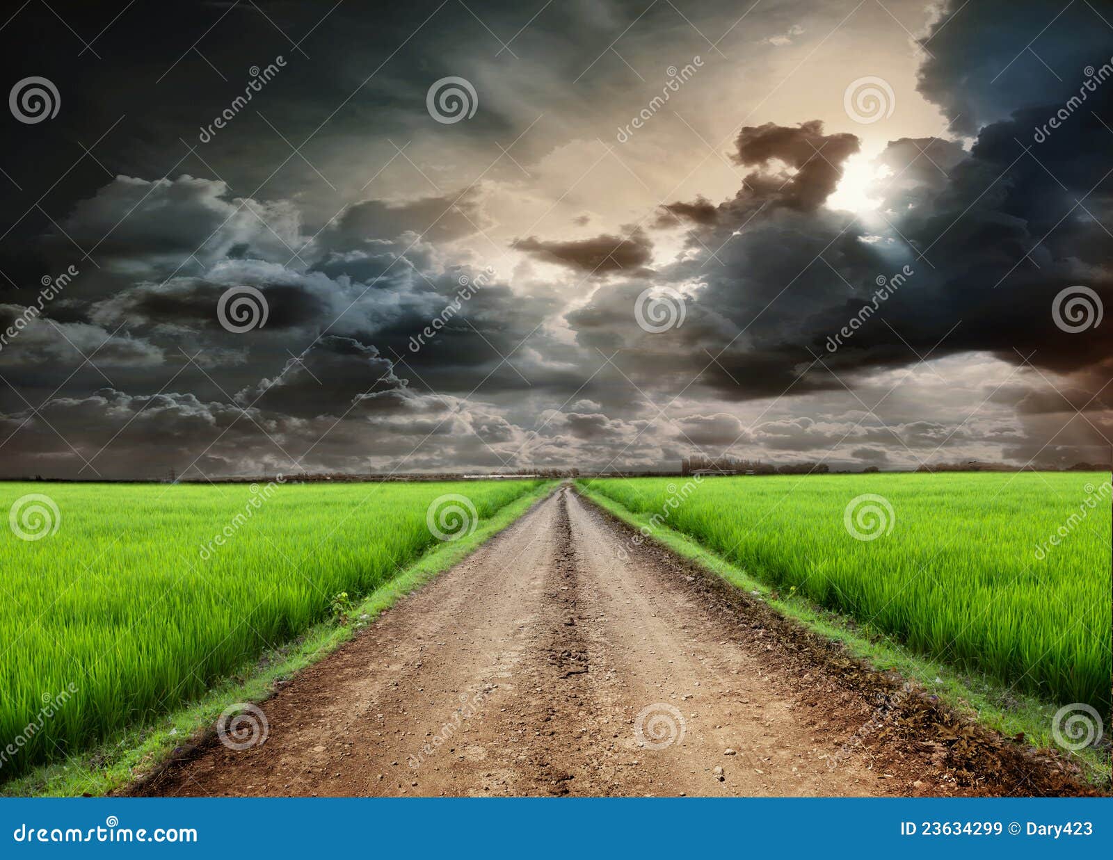 Road in field stock image. Image of road, meadow, bush - 23634299