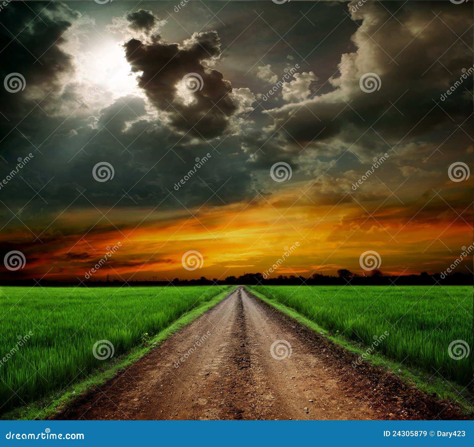 Road in field stock image. Image of nature, bright, dusk - 24305879