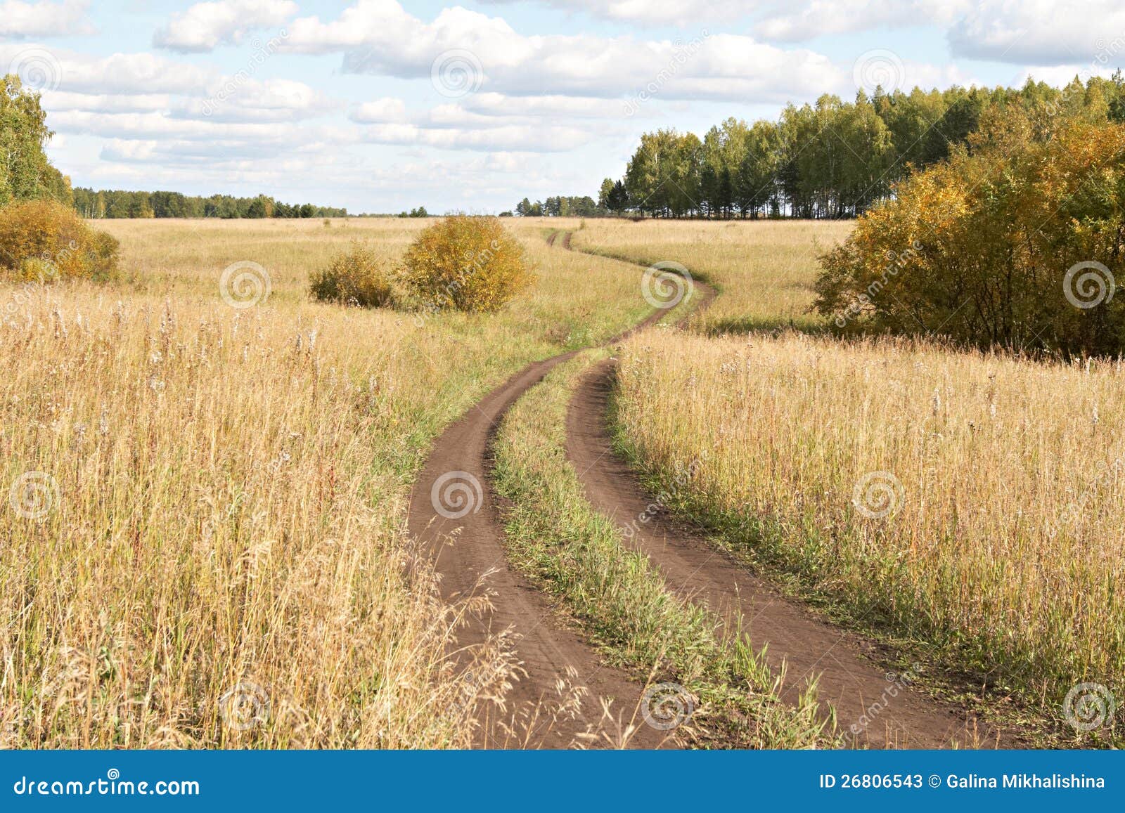 Road in field stock image. Image of trees, clouds, rural - 26806543