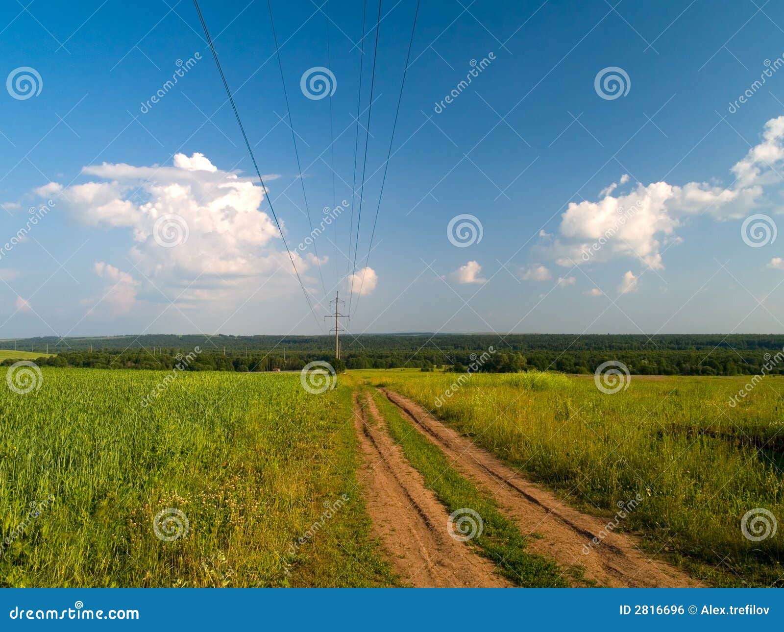 Road in the field stock photo. Image of scene, summer - 2816696