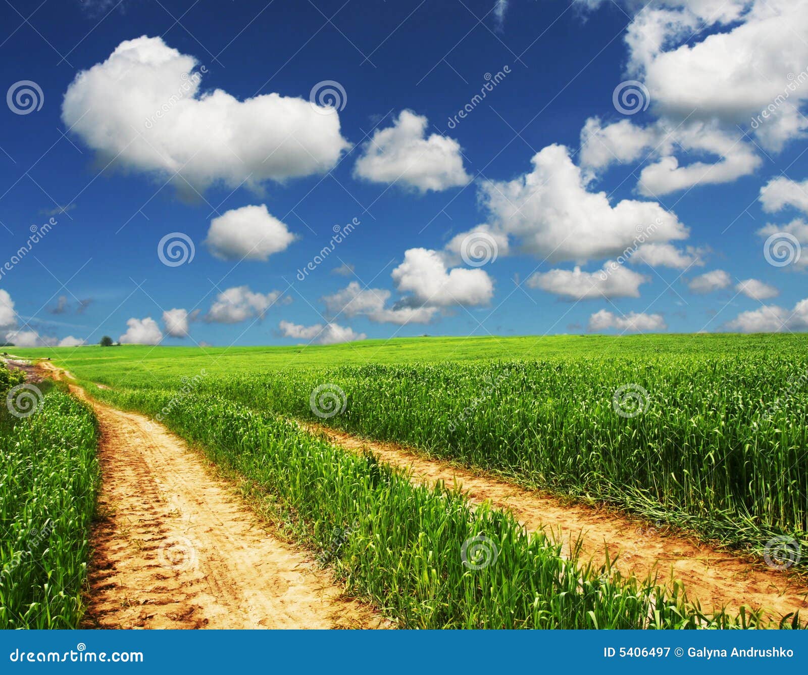 Road in field stock image. Image of journey, pavement - 5406497