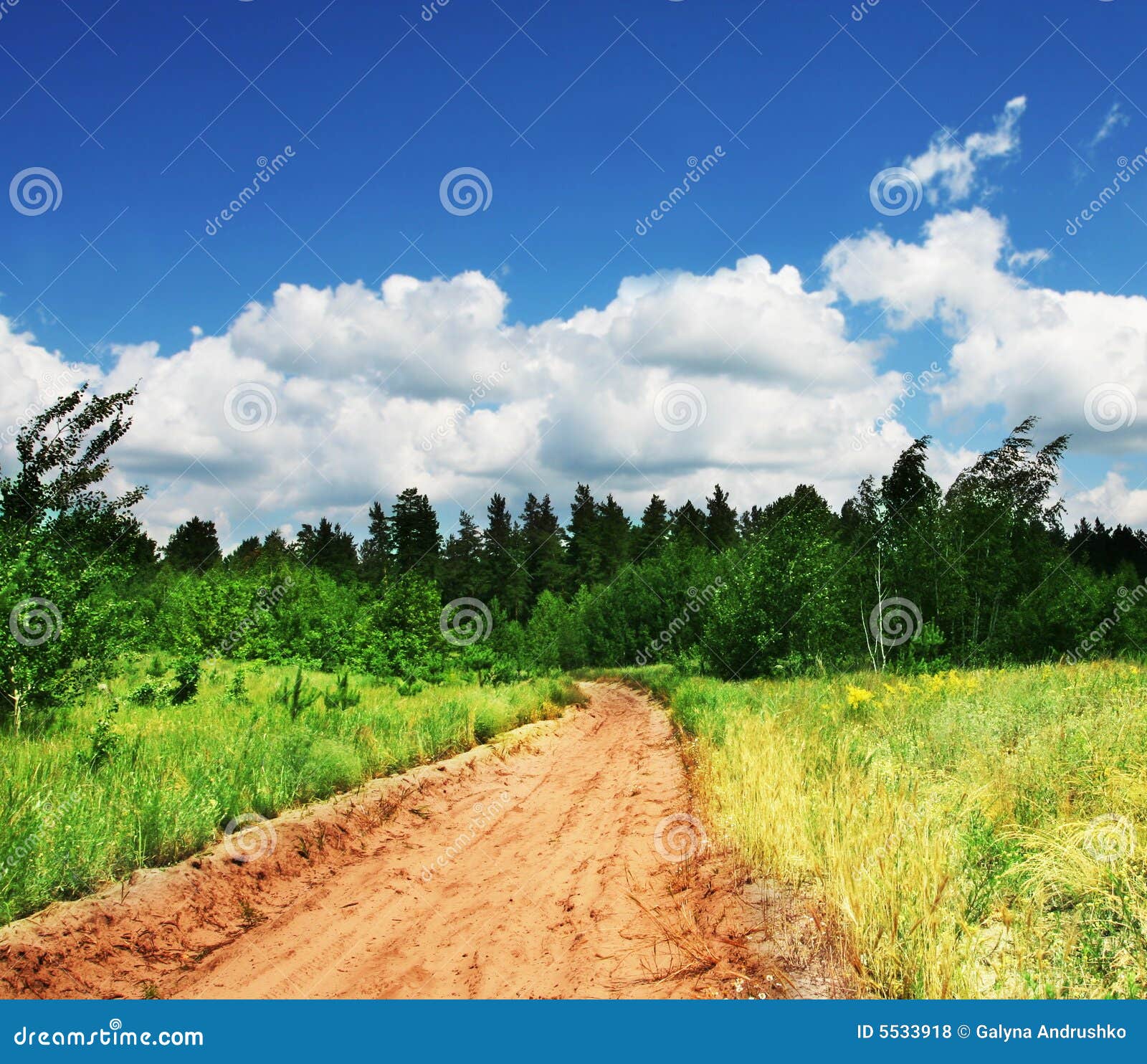 Road in field stock photo. Image of route, countryside - 5533918