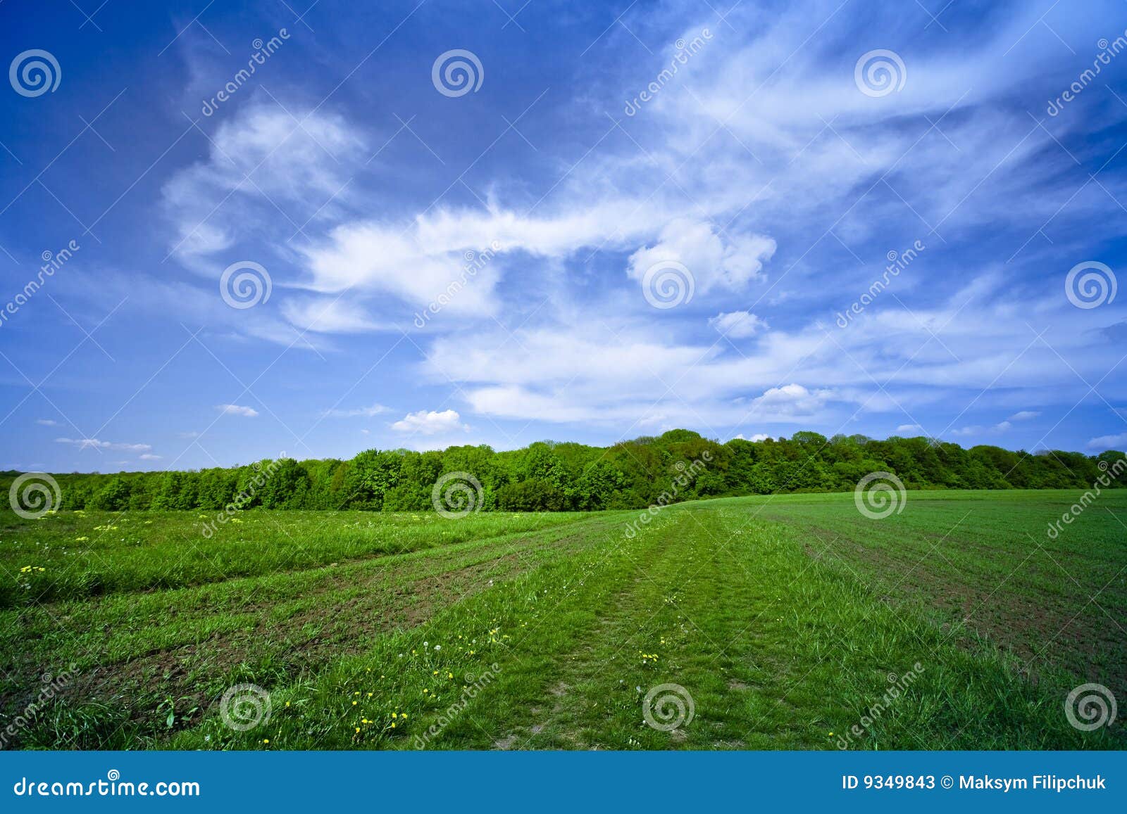 Road from field stock image. Image of scenics, land, nature - 9349843