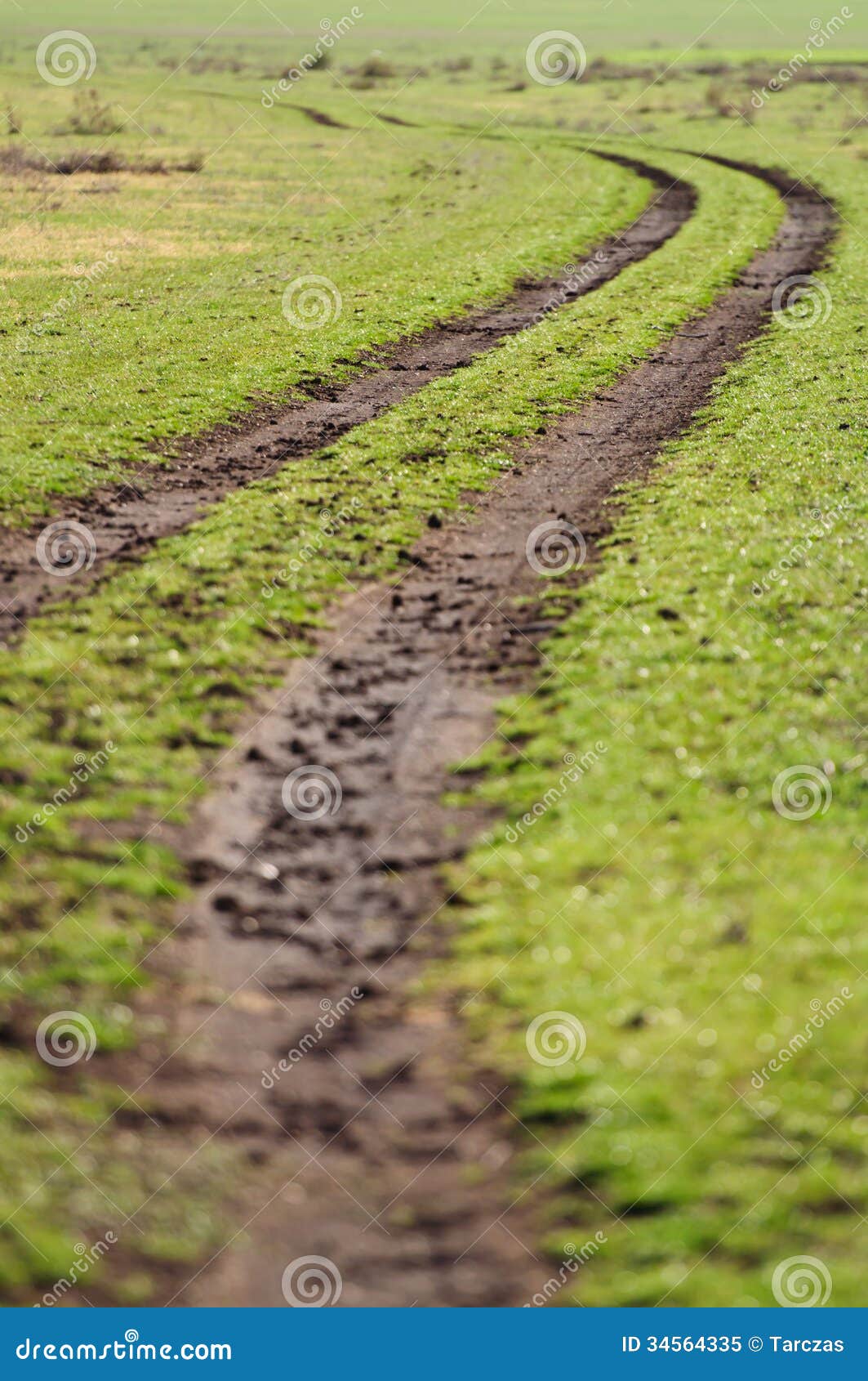 Road through the field stock image. Image of perspective - 34564335