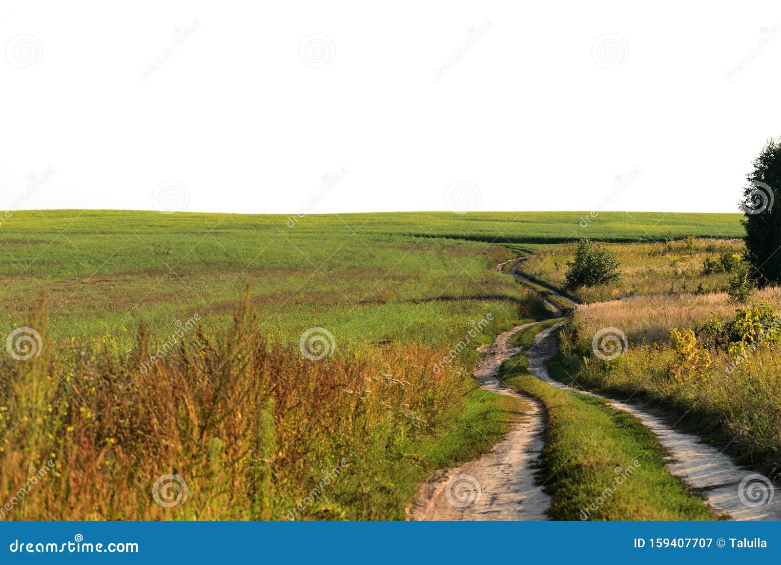 The Road in the Field. Evening Rural Scene Stock Image - Image of ...