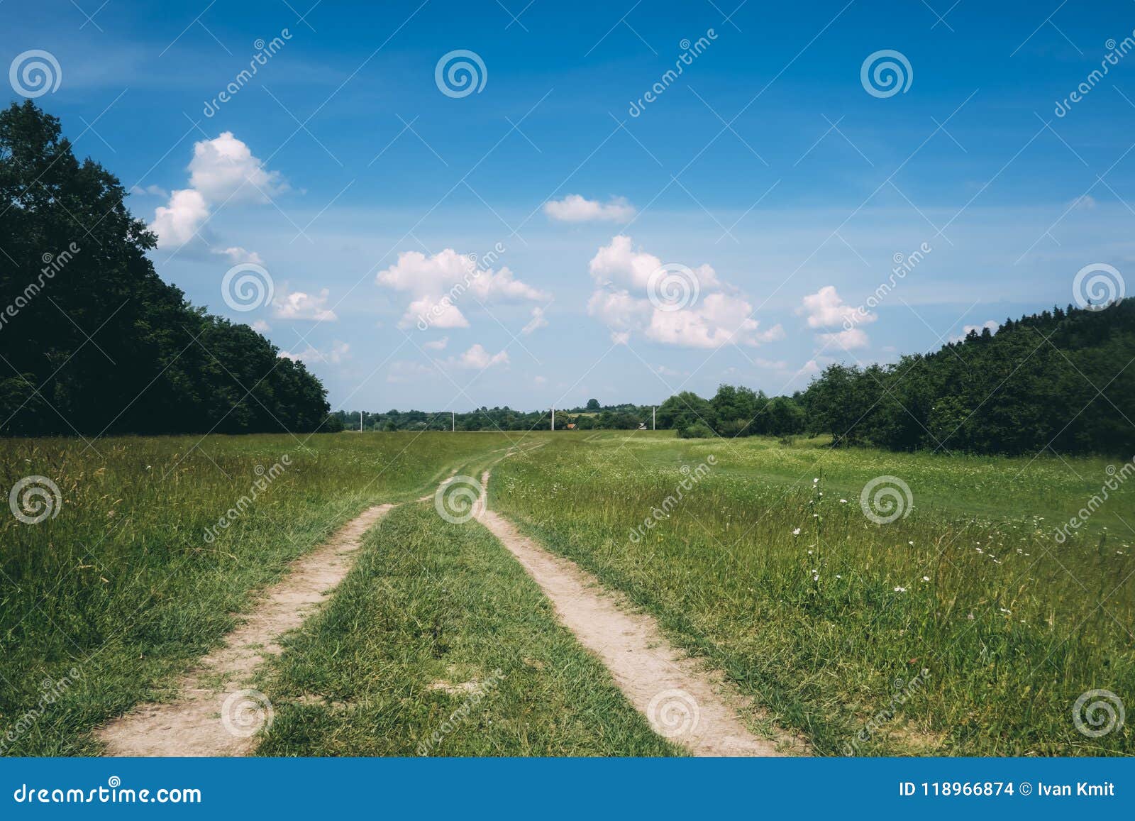 Road, field and forest stock photo. Image of summer - 118966874