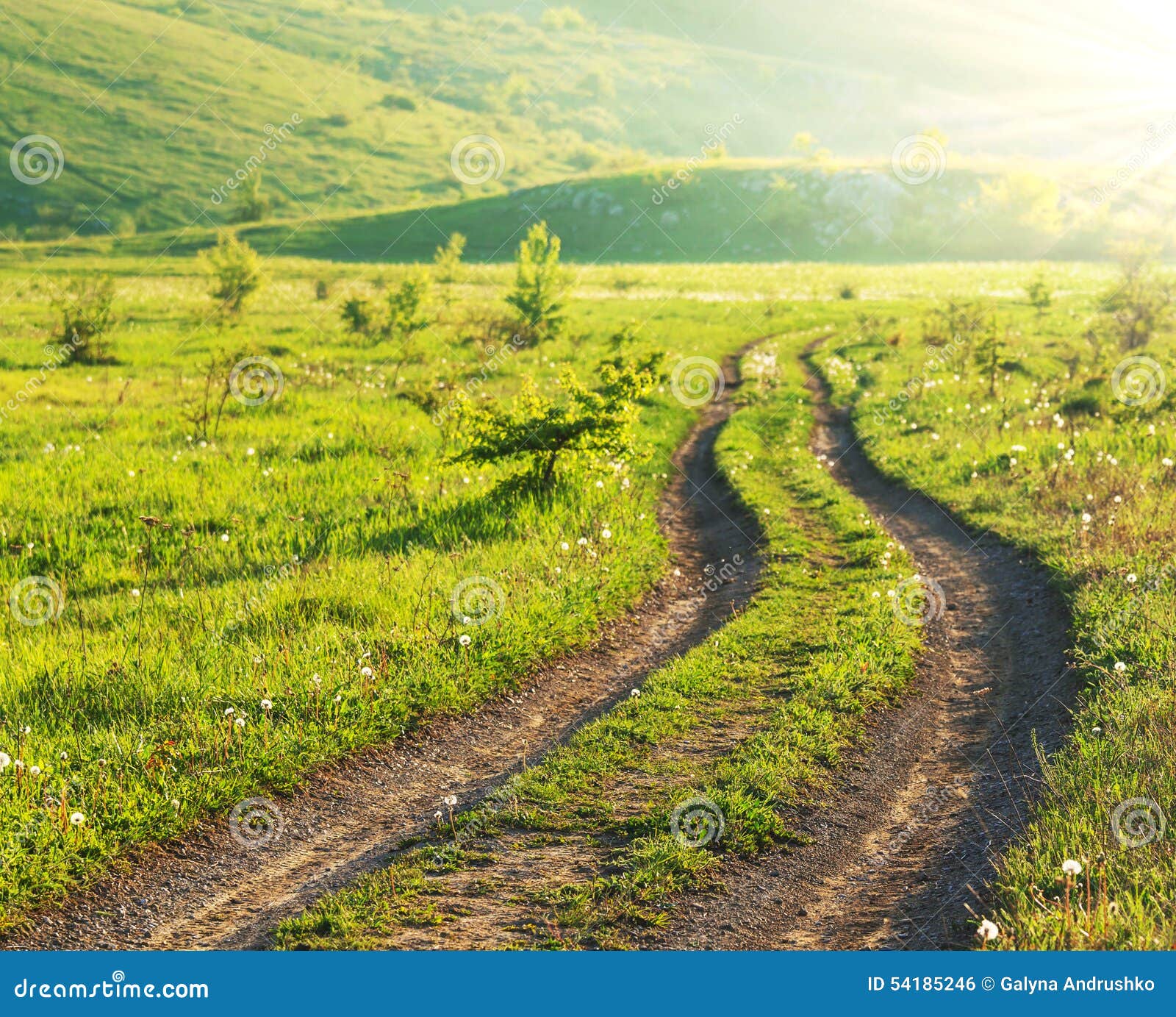Road in field stock photo. Image of country, grass, sunrise - 54185246