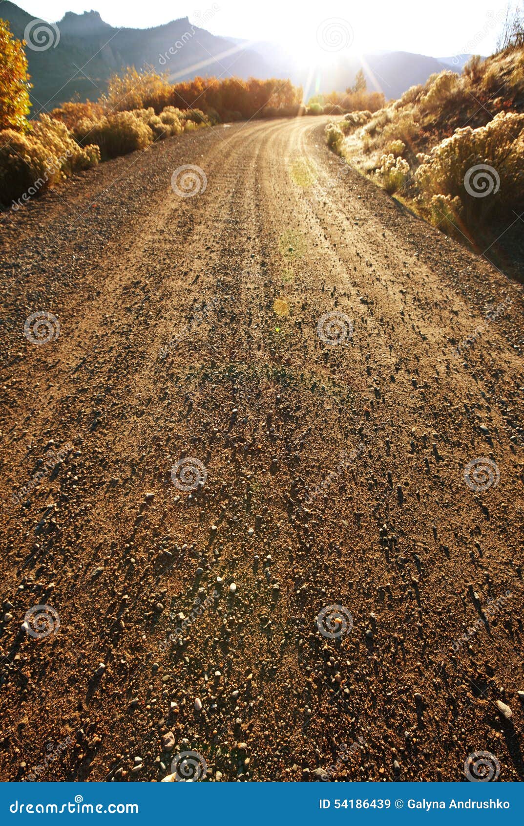 Road in field stock image. Image of rural, farm, travel - 54186439