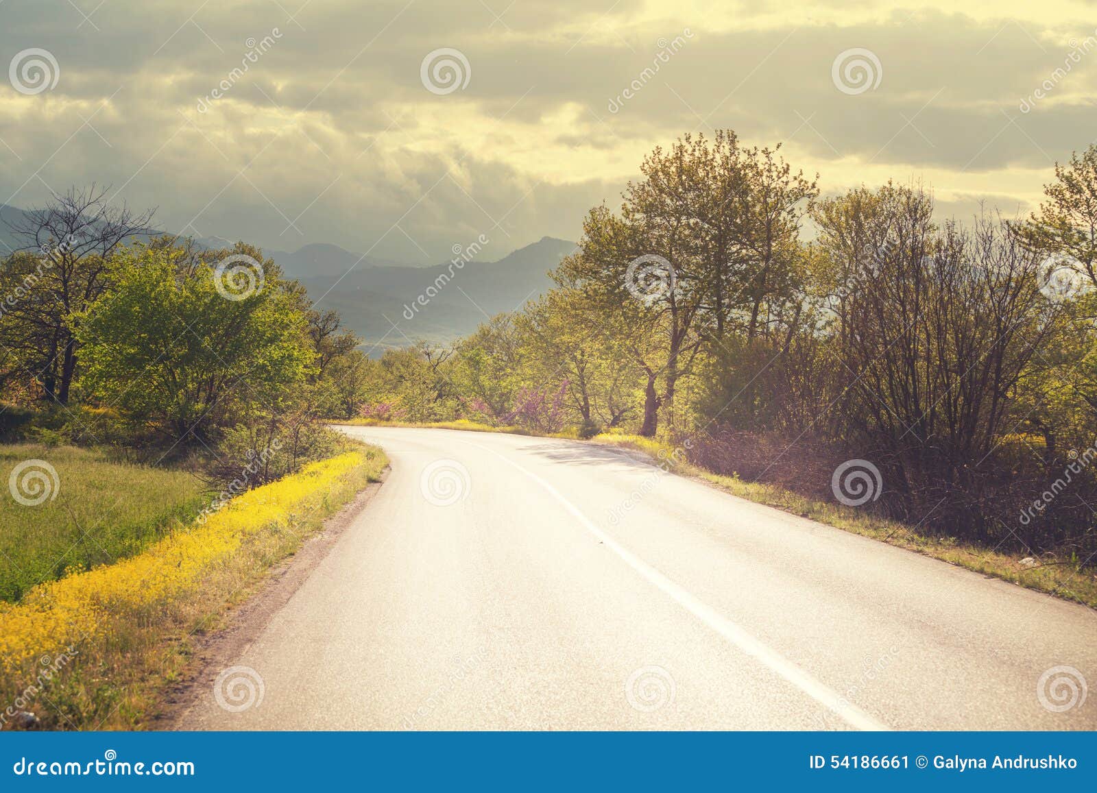 Road in field stock image. Image of sunrise, farm, sunset - 54186661