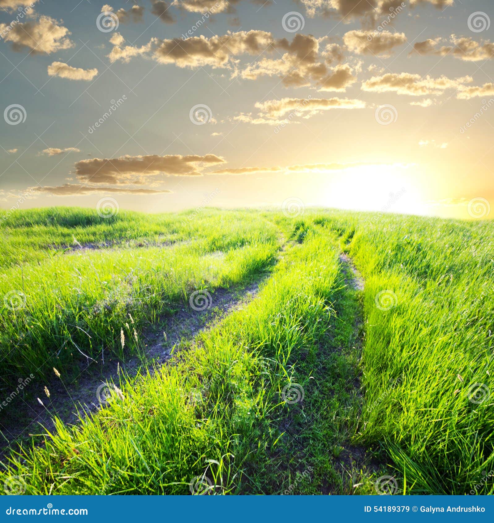 Road in field stock image. Image of countryside, travel - 54189379