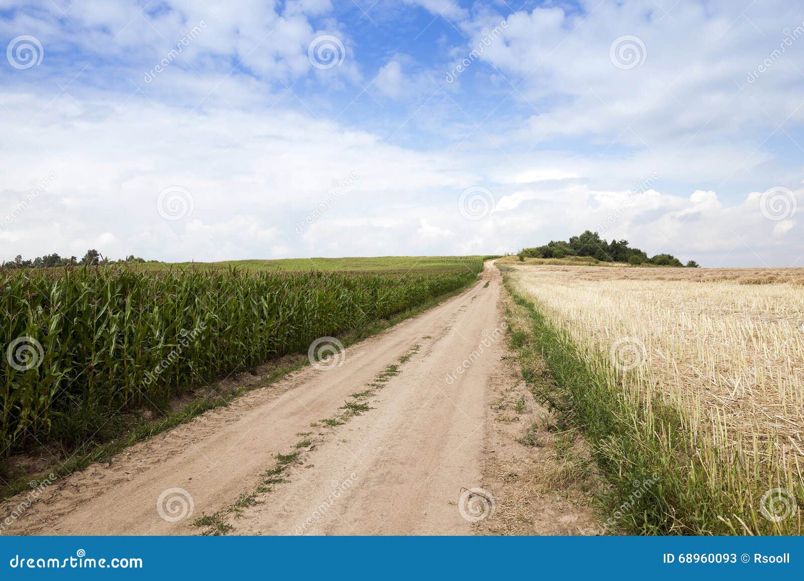 Road in a field stock image. Image of country, meadow - 68960093
