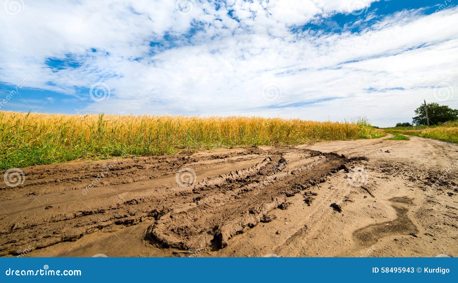 Wheat Washed Stock Photos - Free & Royalty-Free Stock Photos from ...