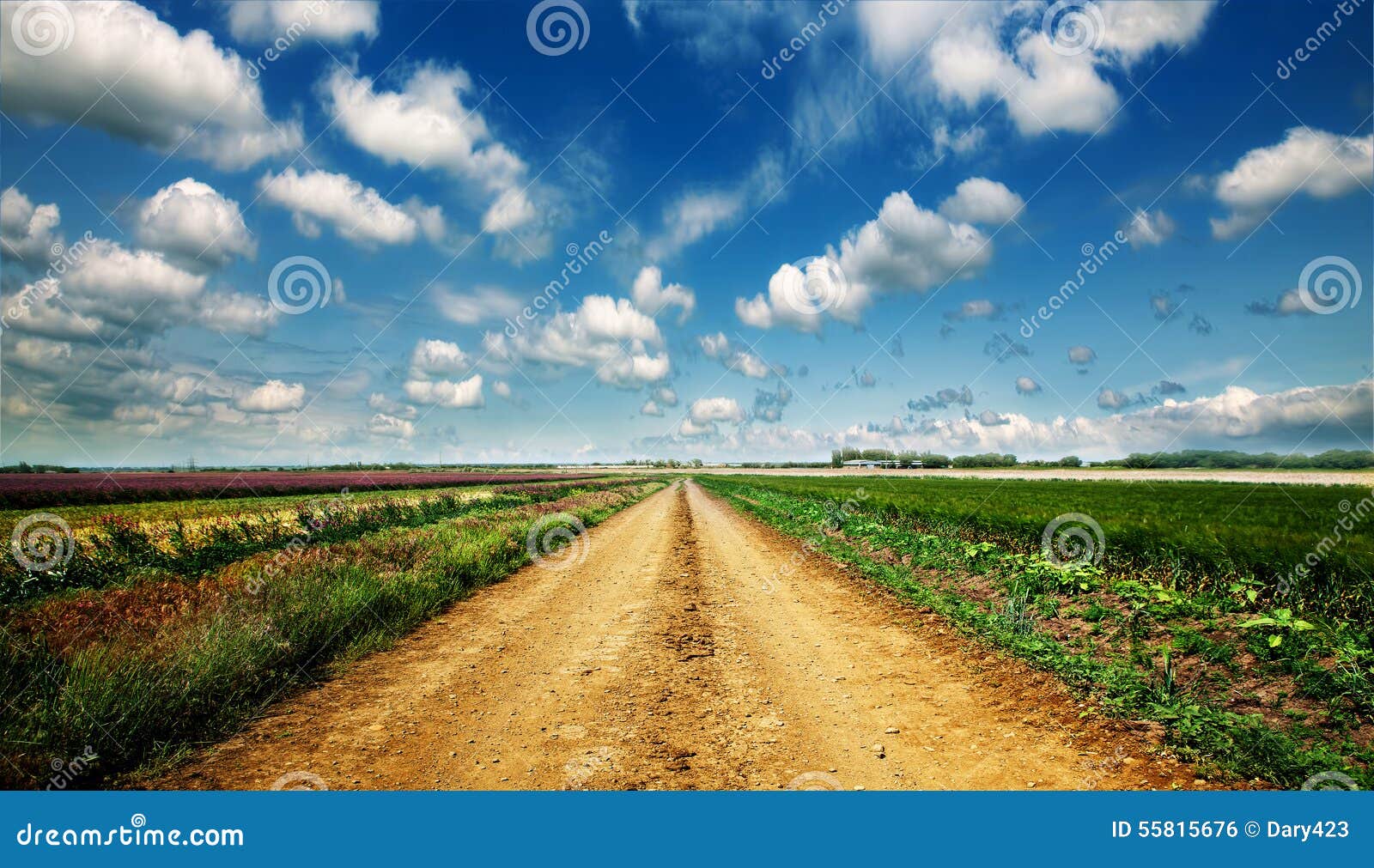 Road in field stock photo. Image of path, field, light - 55815676