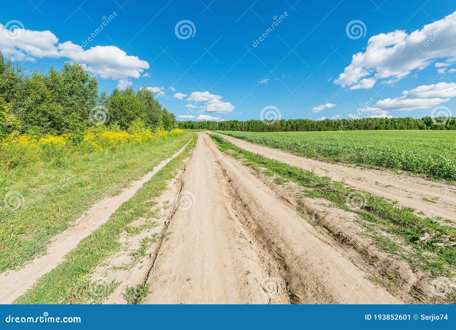 Road by the field stock image. Image of agriculture - 193852601