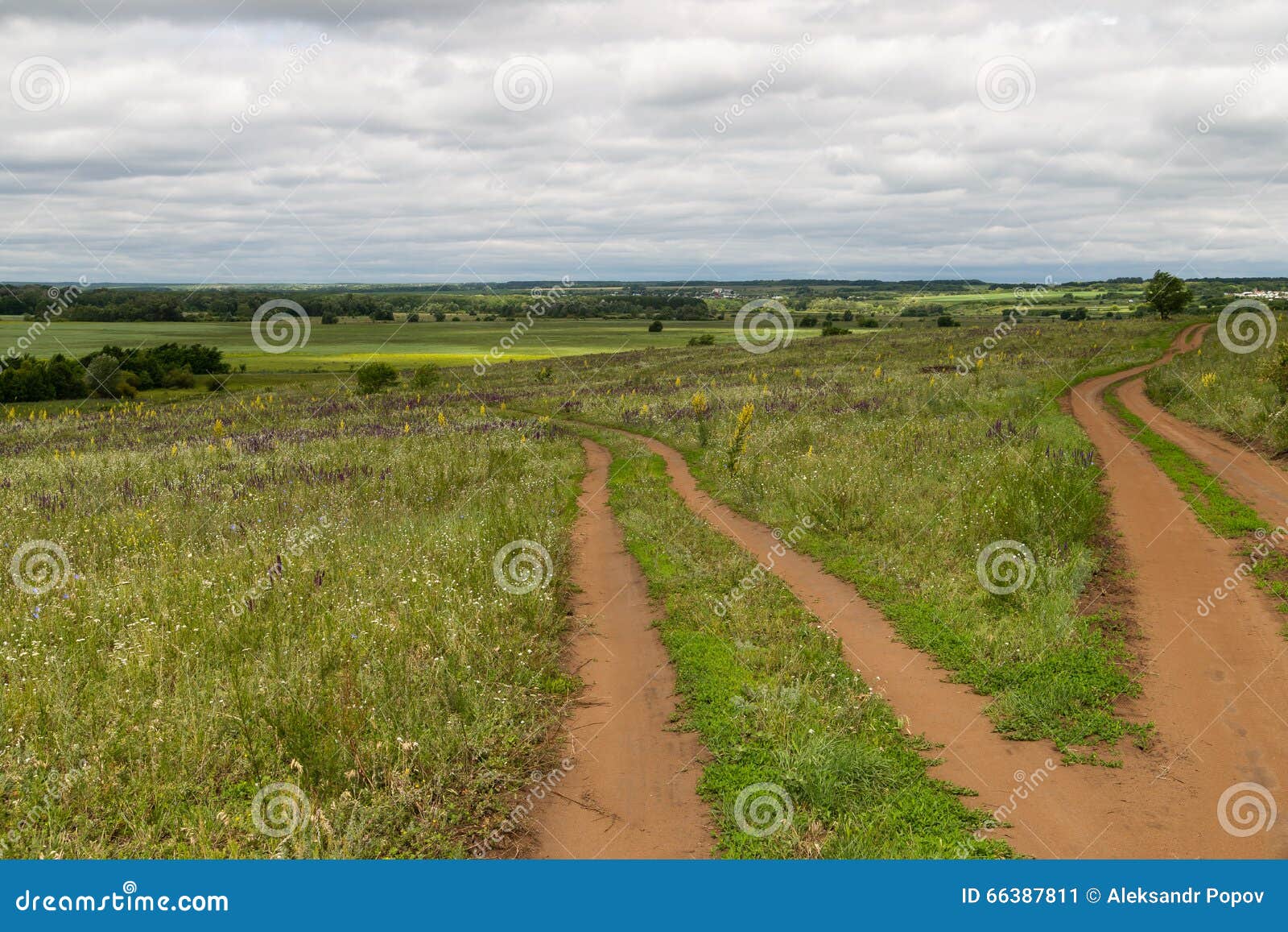 Road in field stock image. Image of line, road, direction - 66387811