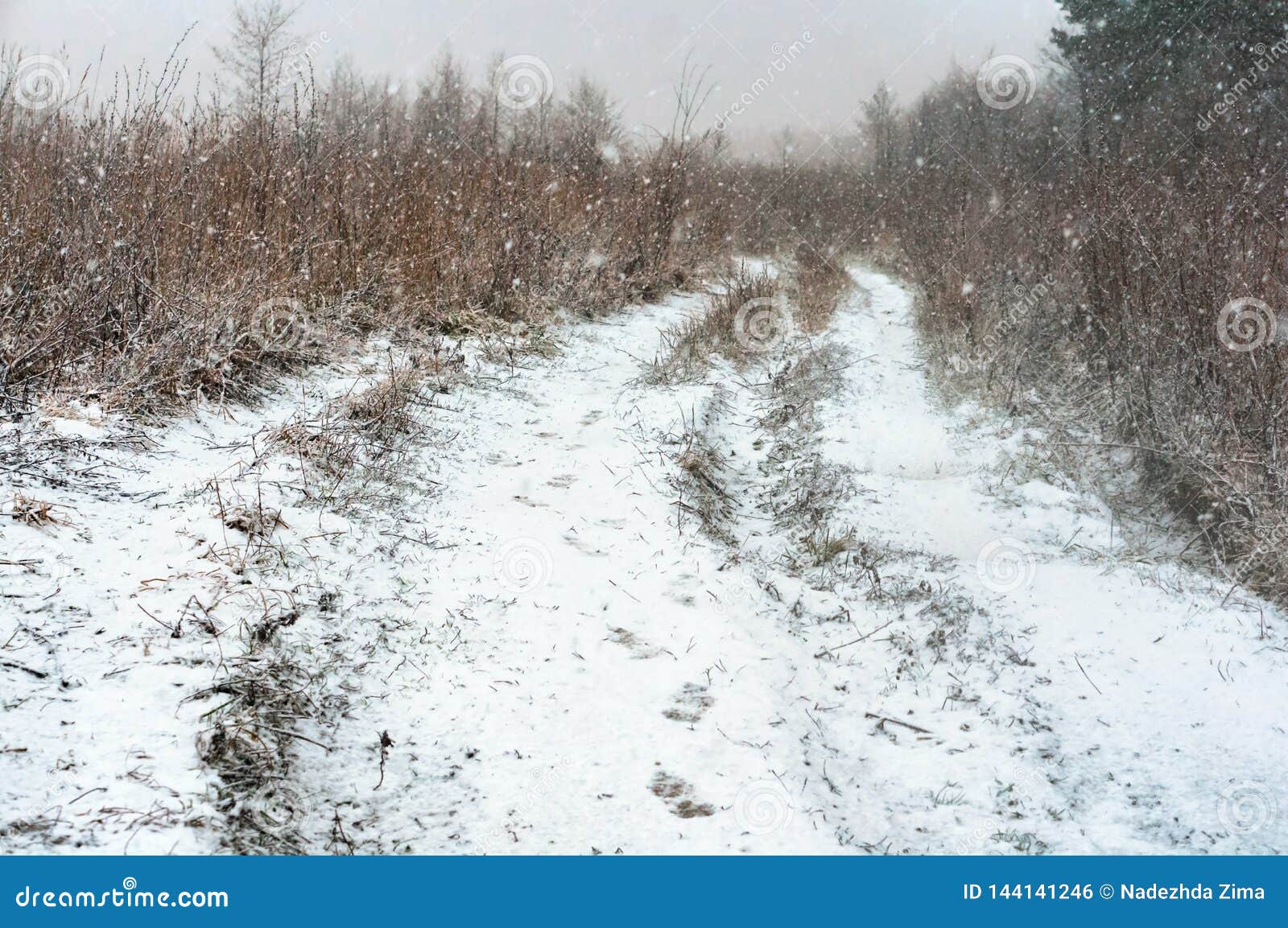 Road in the Field and Snowstorm, Field Snow-covered Road Stock Photo ...