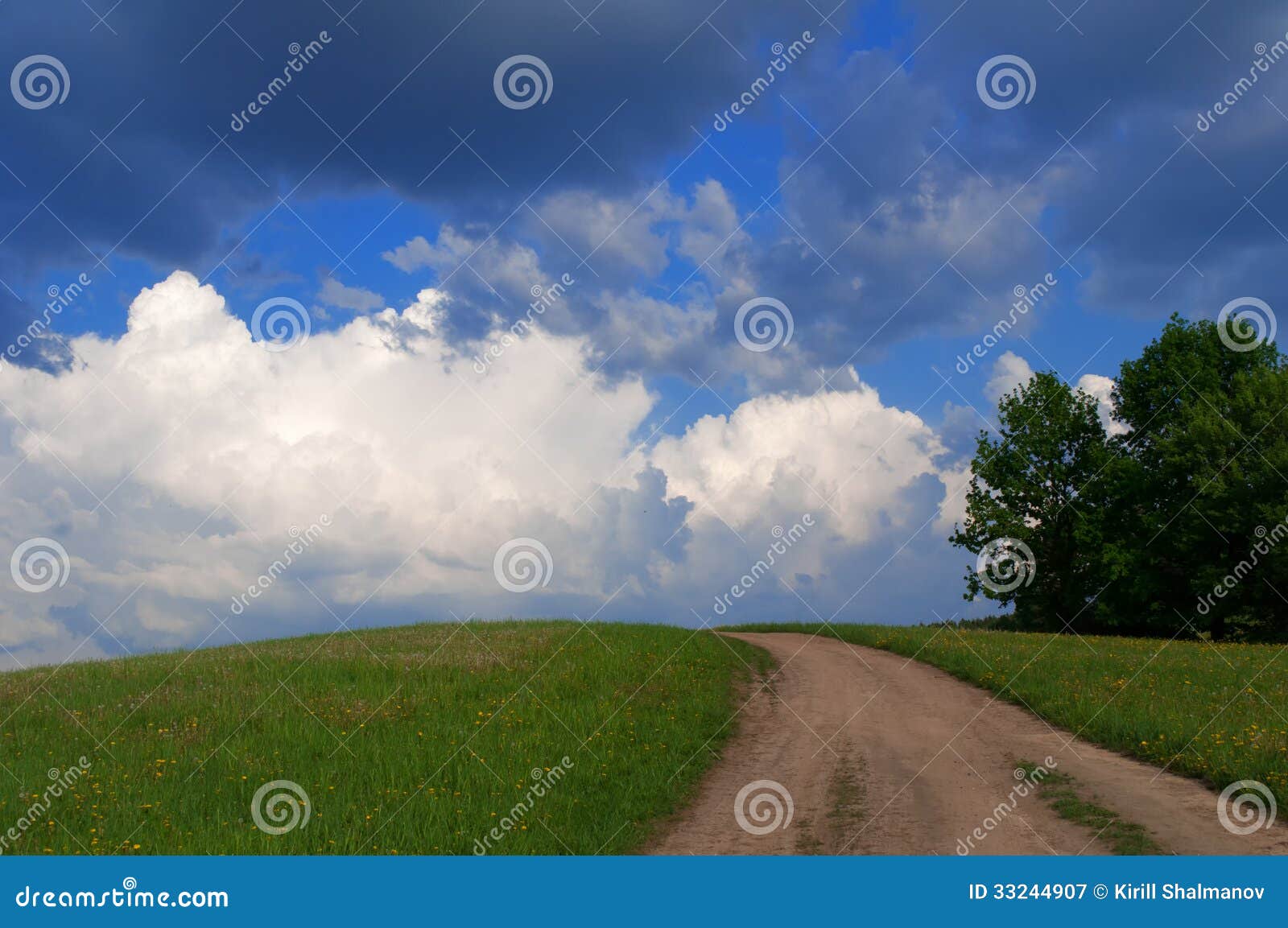 Field road stock image. Image of direction, meadow, oats - 33244907