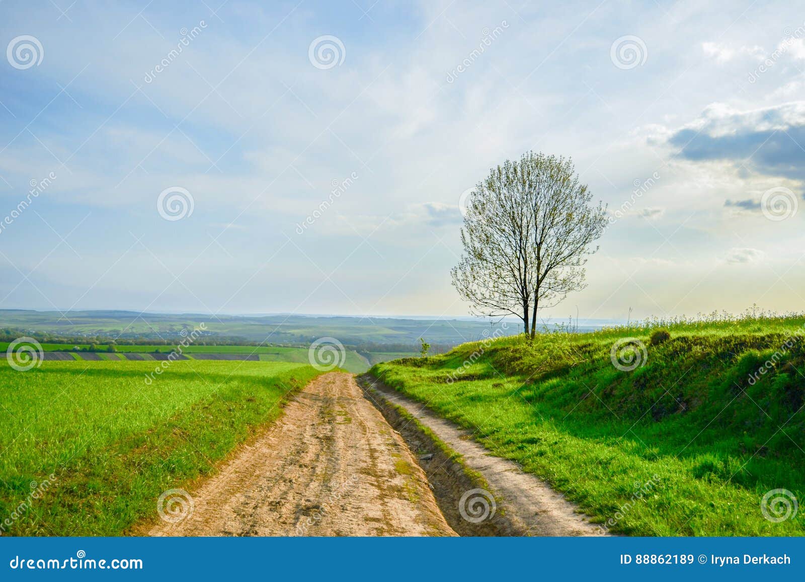 Road in field stock image. Image of nature, meadow, landscape - 88862189