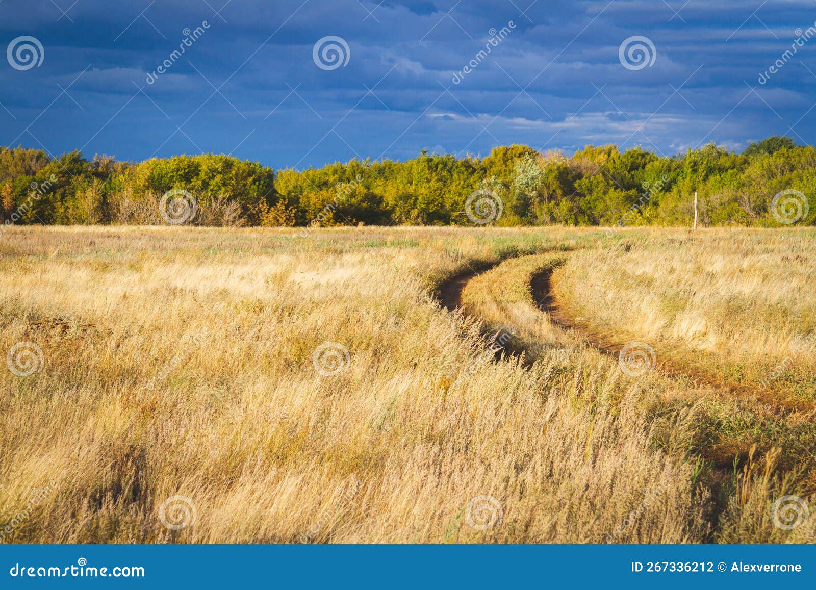 Road in Field at Sunset. Beautiful Sunset and Field Road Stock Photo ...