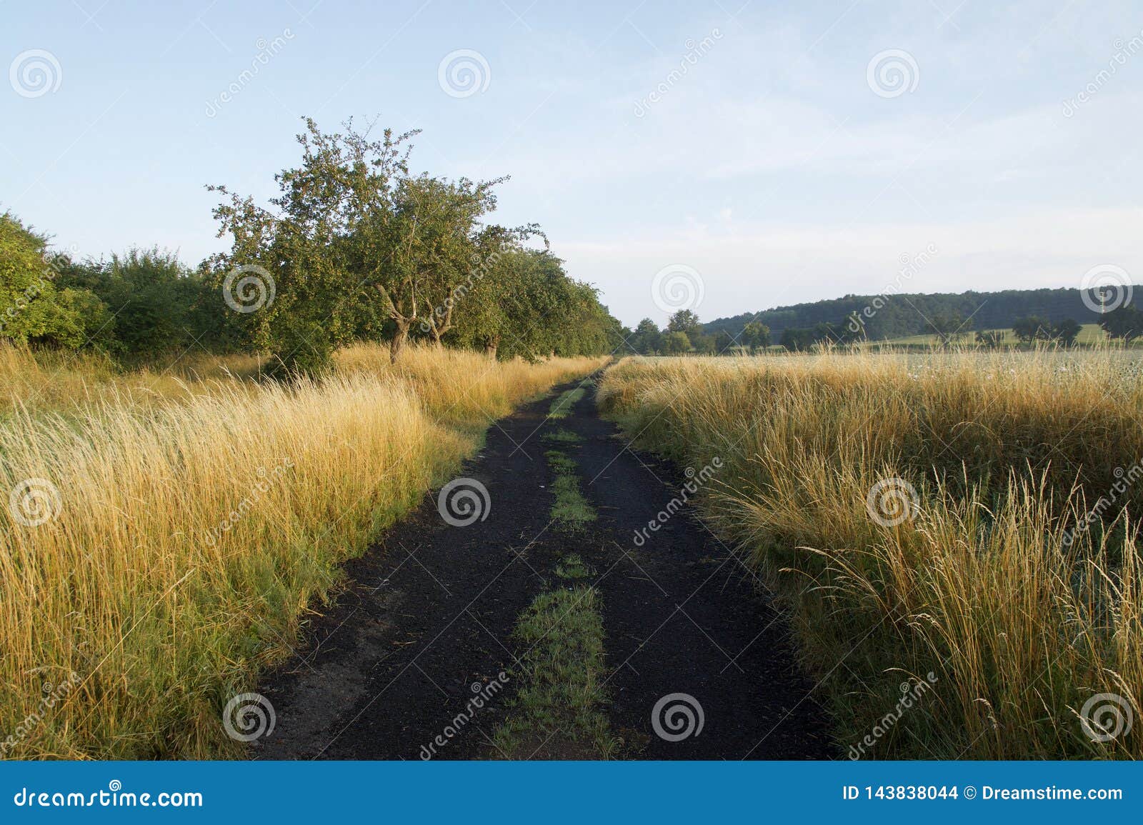 Road between fields stock photo. Image of detail, sony - 143838044