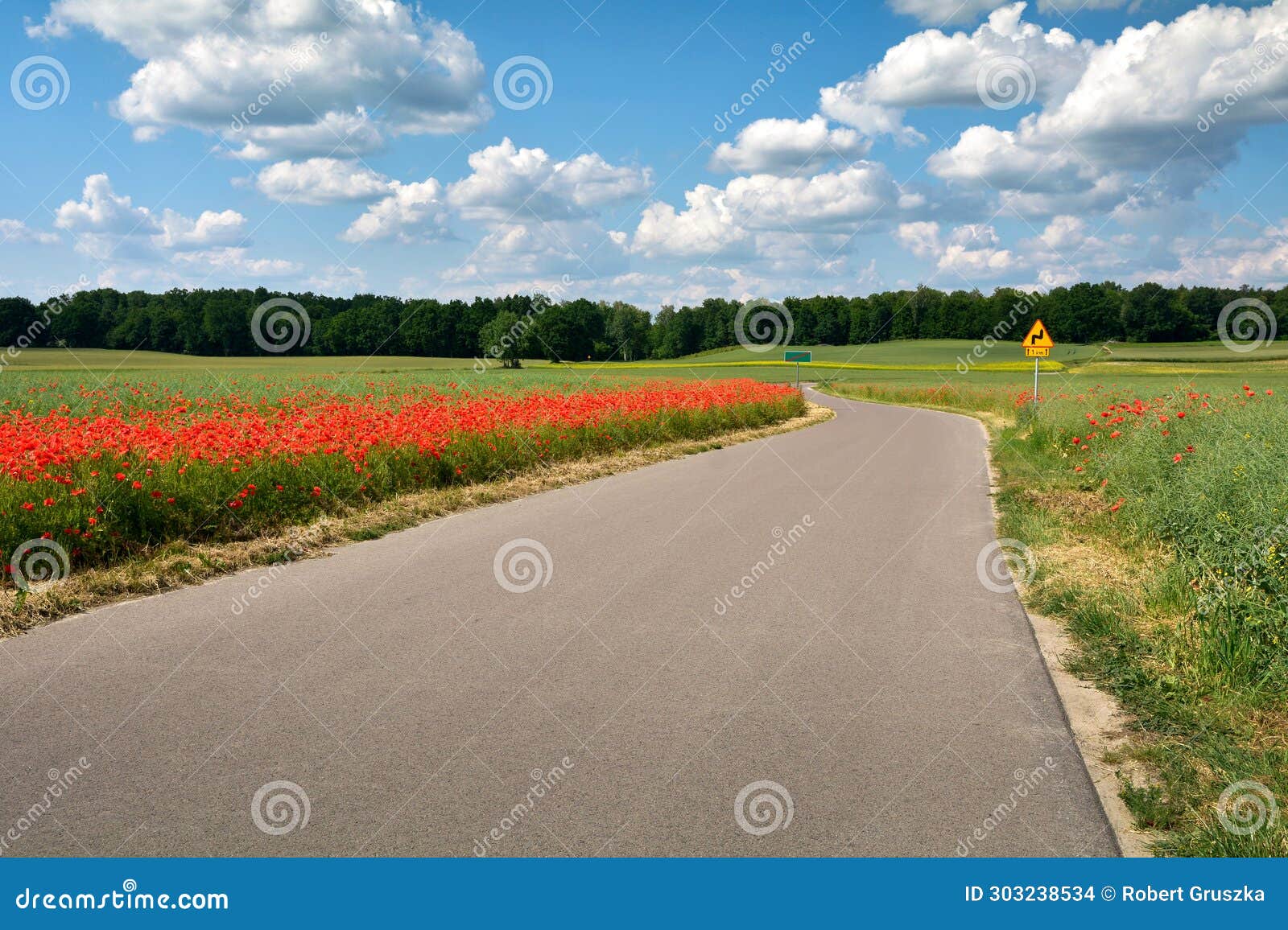 Road through the fields stock photo. Image of nature - 303238534