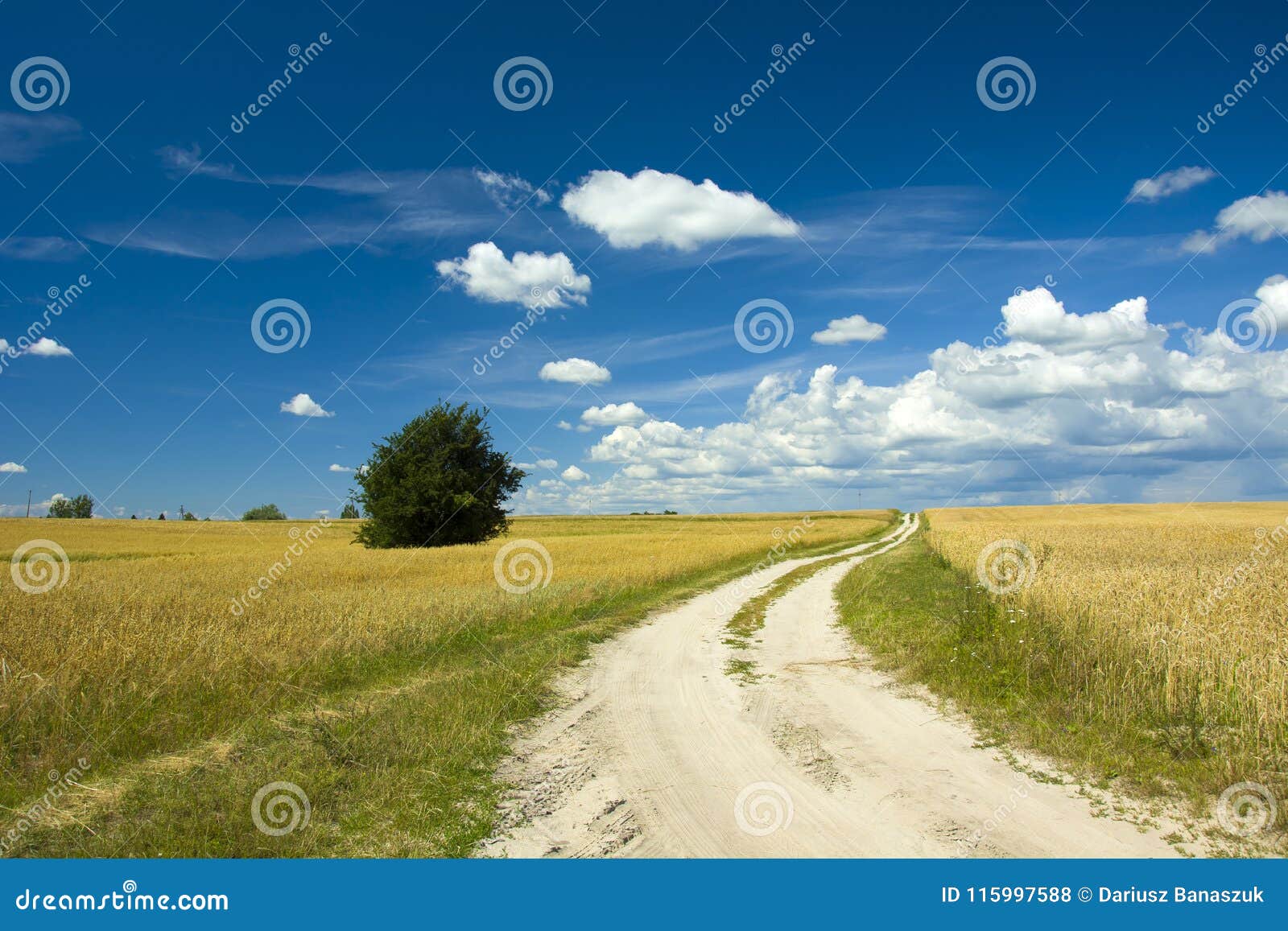 Road through Fields of Grain and Blue Sky Stock Photo - Image of ...