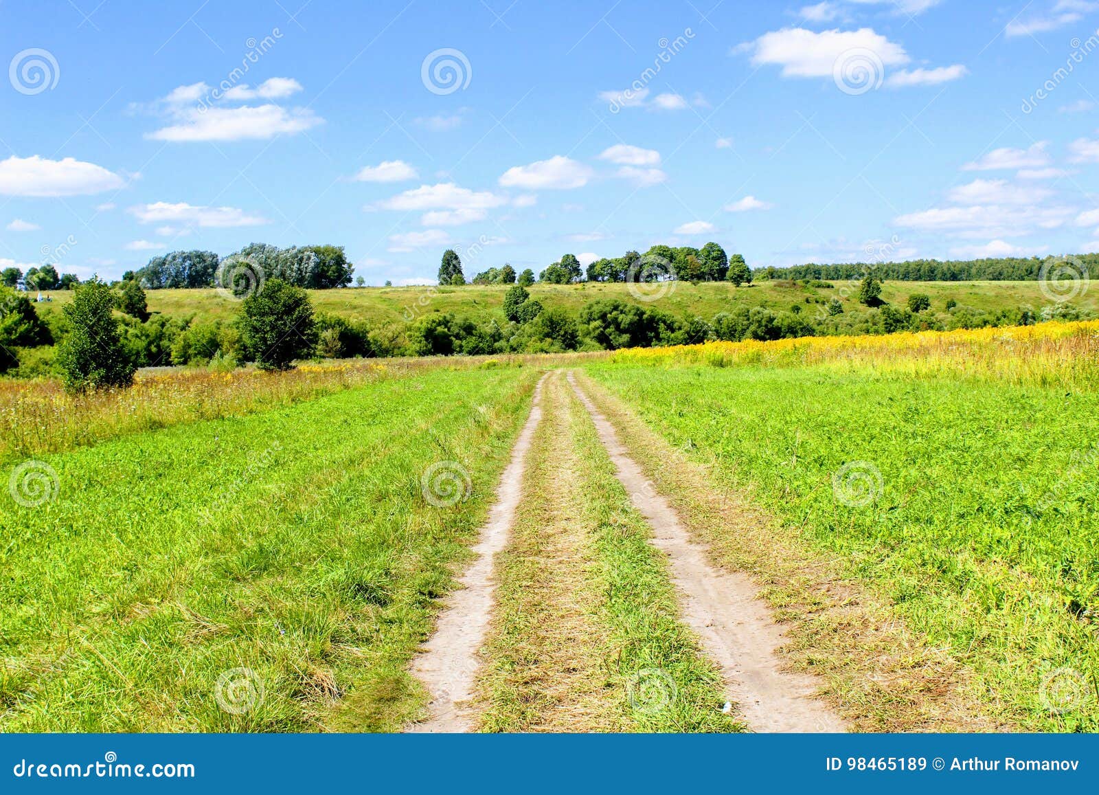 The Road in the Fields with Grass Mowed Along Both Sides Stock Image ...