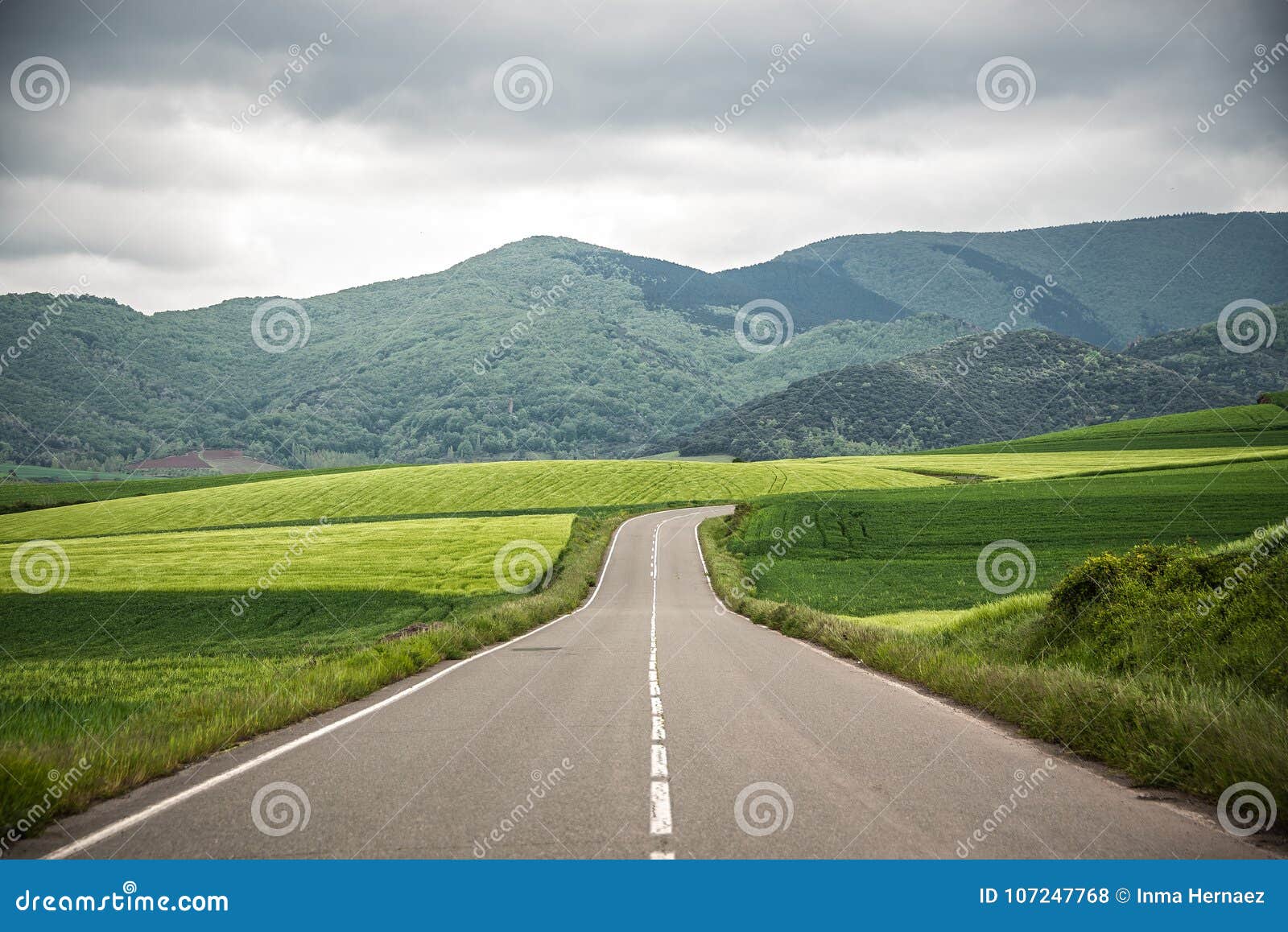 Road between the fields stock photo. Image of travel - 107247768