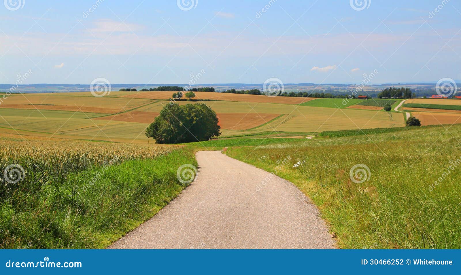 Road in fields stock photo. Image of grass, scene, scenery - 30466252
