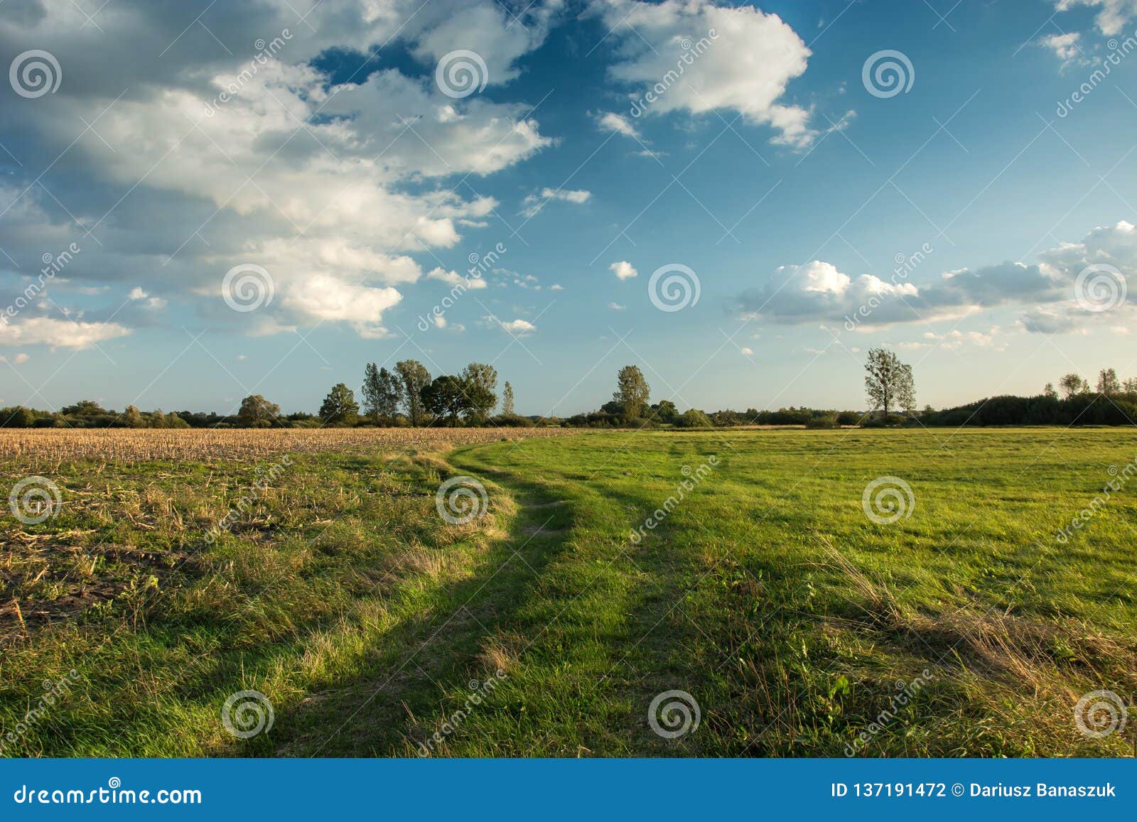 Road through Fields, Trees on the Horizon and Clouds in the Sky Stock ...
