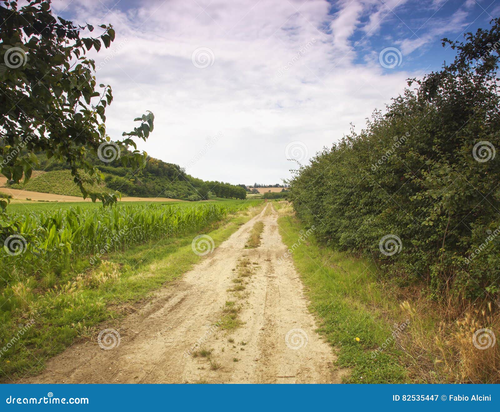 Road in the fields stock image. Image of green, clouds - 82535447