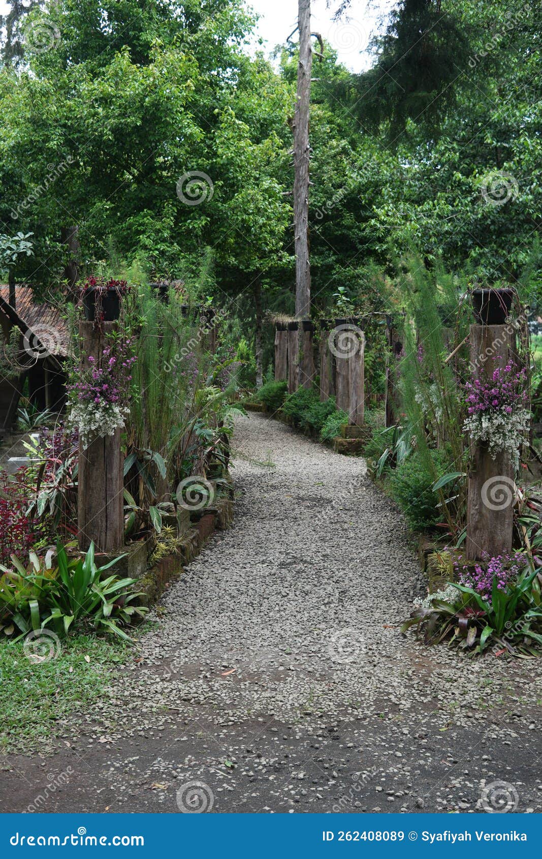 A road with flower gate stock image. Image of fresh - 262408089
