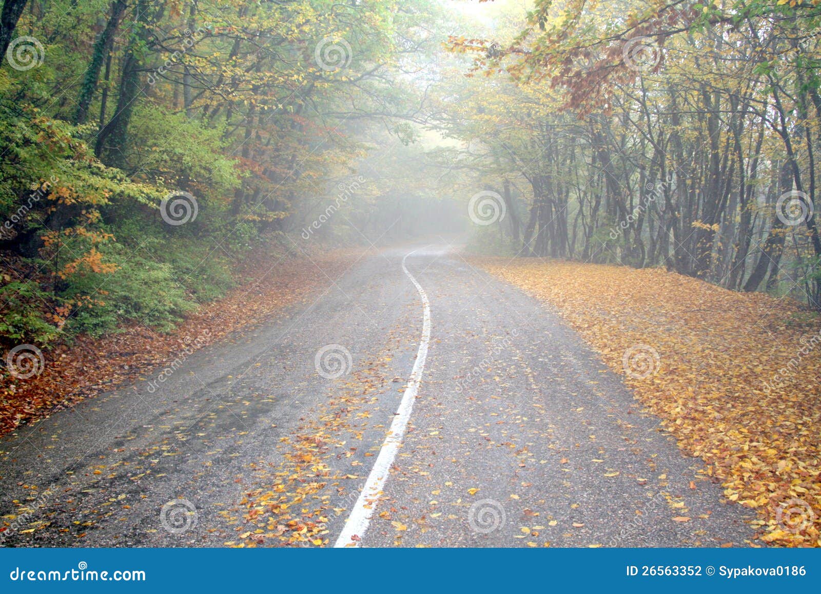 Road in fog stock photo. Image of uphill, trees, morning - 26563352