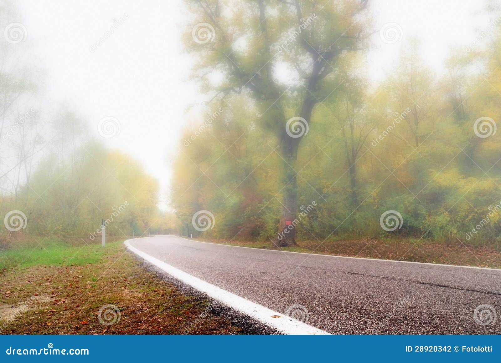 Road with fog stock photo. Image of mist, foggy, morning - 28920342