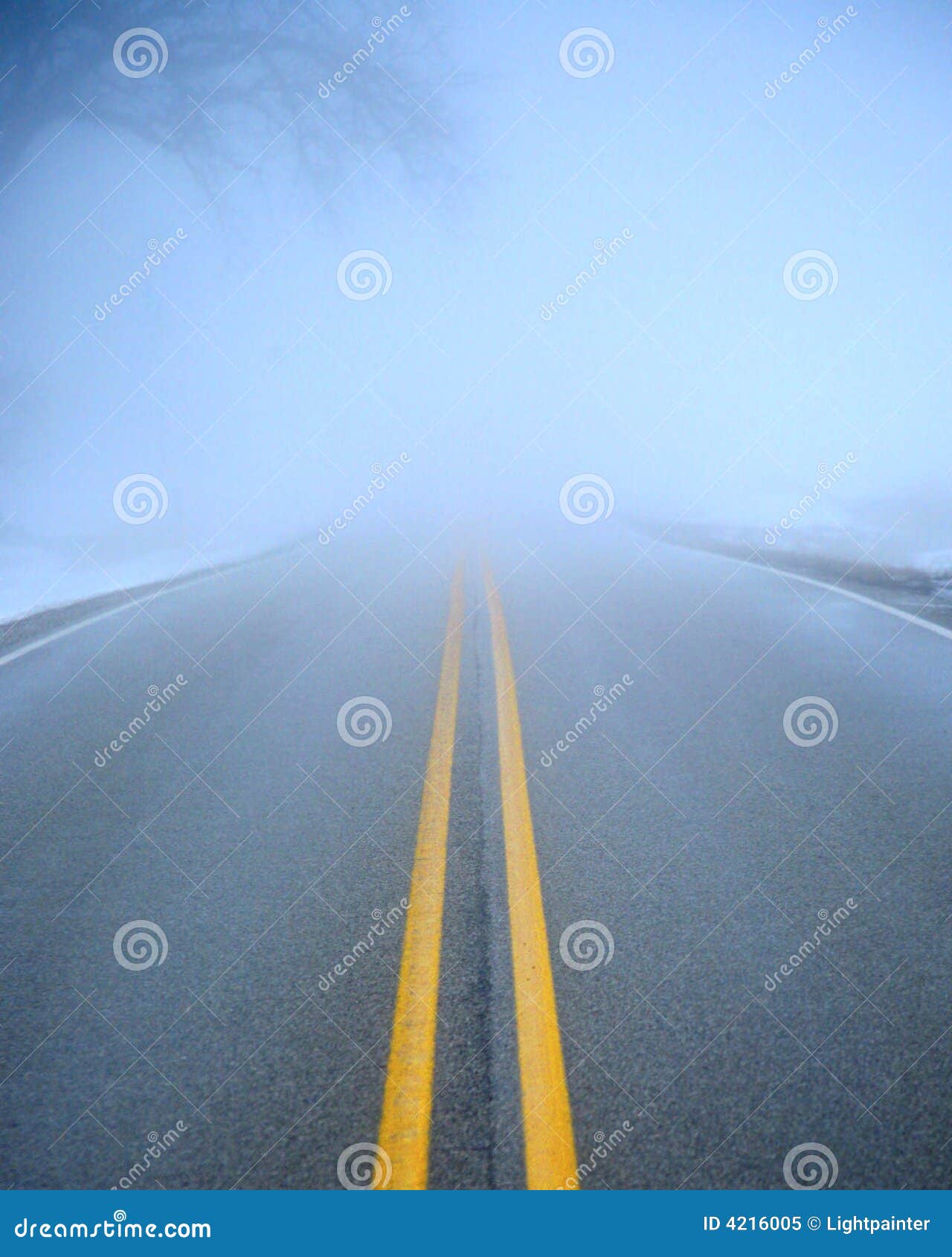 Road in fog stock image. Image of passing, tree, line - 4216005