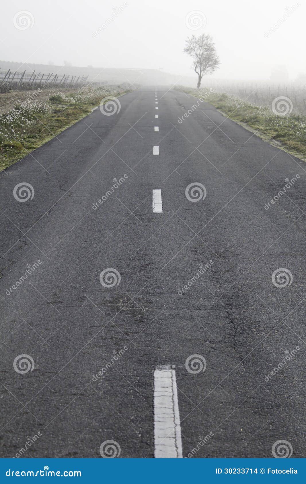 Road with fog stock photo. Image of isolated, cold, road - 30233714